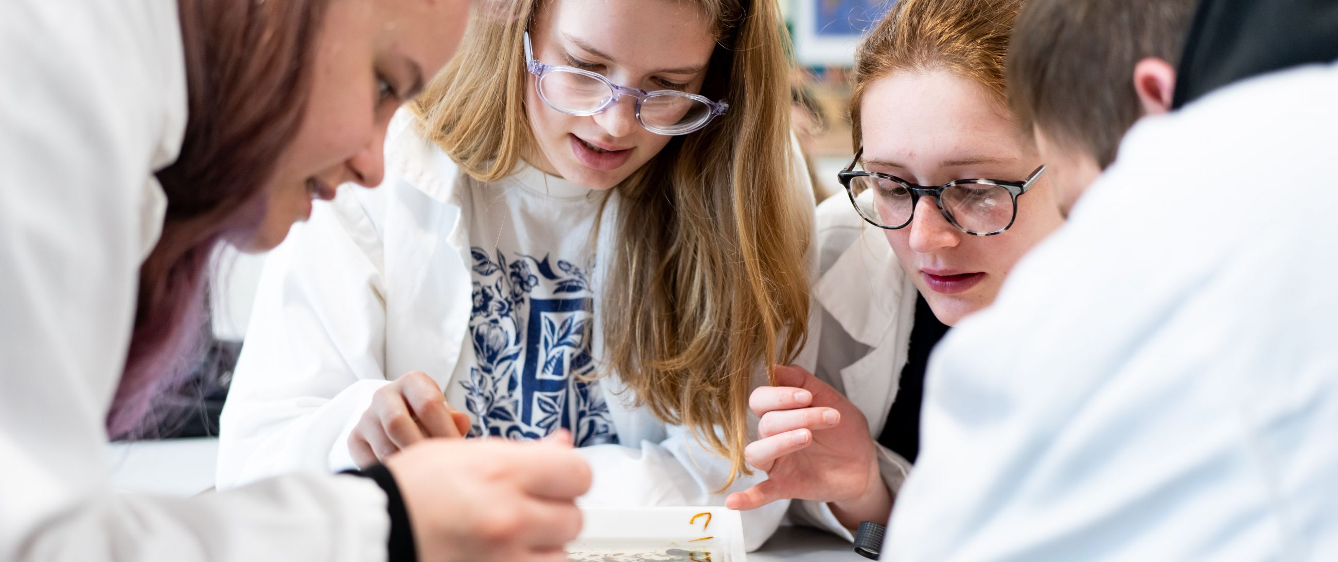 A Level Environmental Science