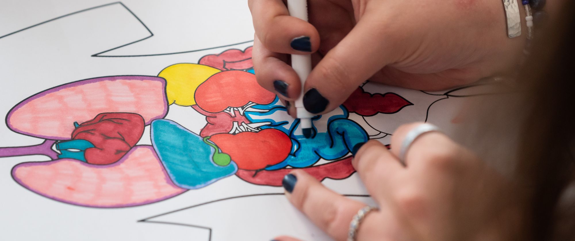 Level 3 AAQ BTEC National in Health and Social Care (Extended ...